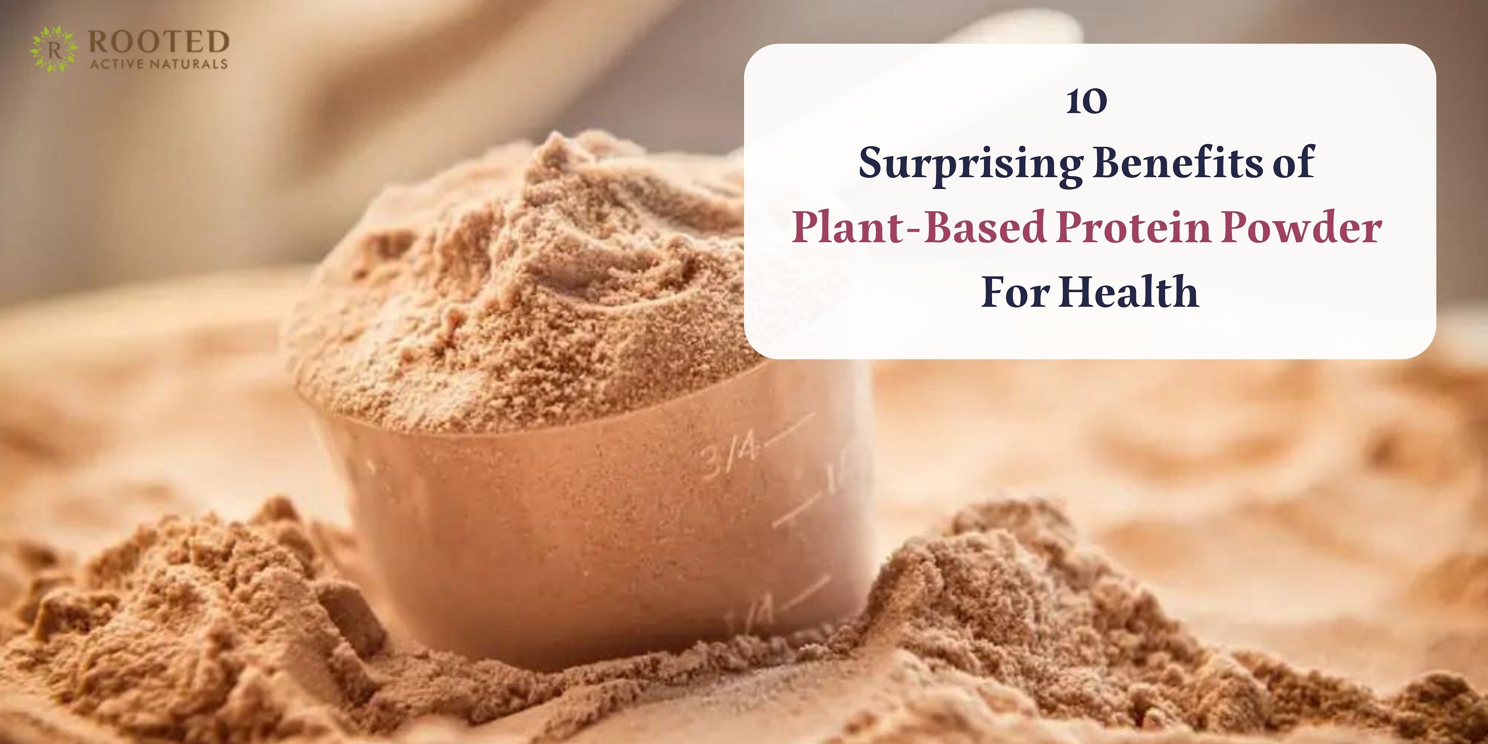 10 Surprising Benefits of Plant-Based Protein Powder For Health ...