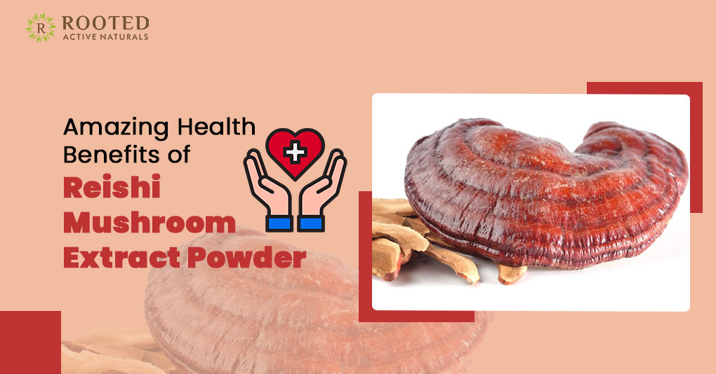 Amazing Health Benefits of Reishi Mushroom Extract Powder – Rooted ...