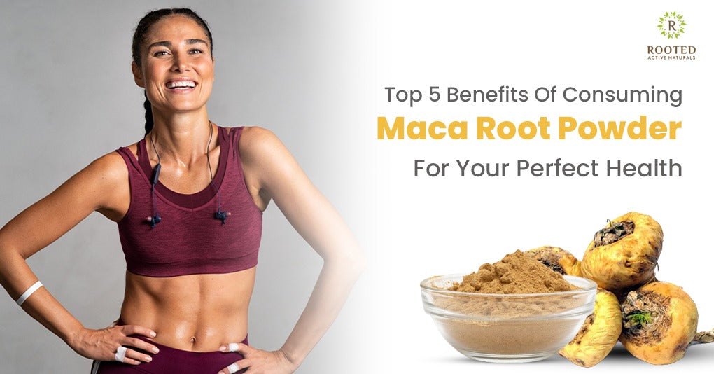 Top 5 Benefits Of Consuming Maca Root Powder For Your Perfect Health ...