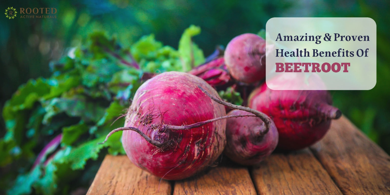 Amazing & Proven Health Benefits Of Beetroot – Rooted Active Naturals