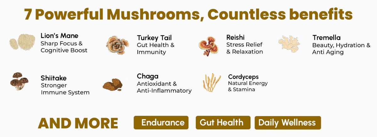 Rooted Actives Organic 7-Mushroom Complex Capsule – Rooted Active Naturals