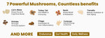 Rooted Actives Organic 7-Mushroom Complex Capsule – Rooted Active Naturals