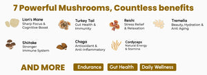 Rooted Actives Organic 7-Mushroom Complex Capsule – Rooted Active Naturals