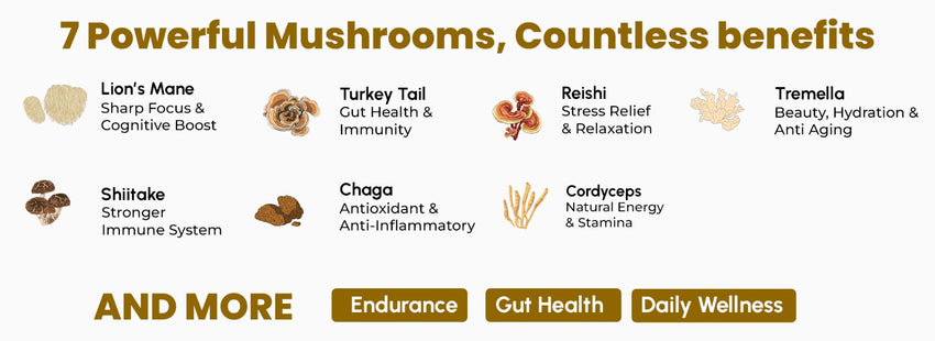 Rooted Actives Organic 7-Mushroom Complex Capsule – Rooted Active Naturals