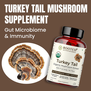 Turkey Tail Mushroom Extract Capsule | Rooted Actives – Rooted Active ...