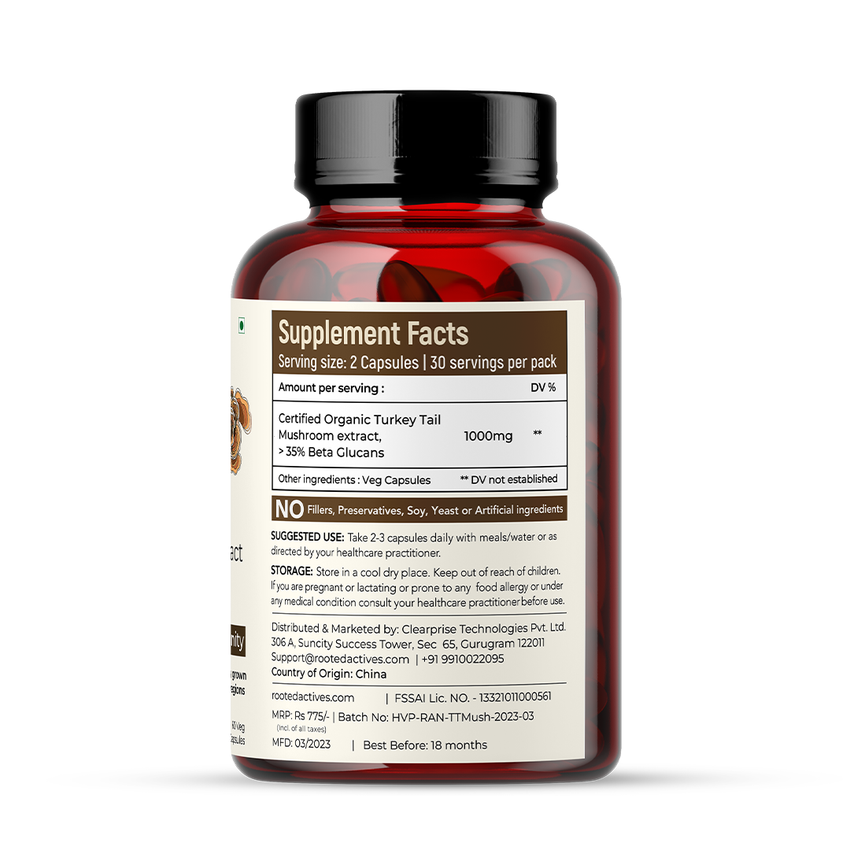 Turkey Tail Mushroom Extract Capsule | Rooted Actives – Rooted Active ...